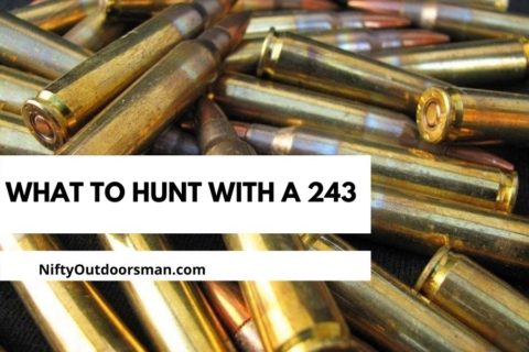 What Can You Hunt With a 243 - Nifty Outdoorsman