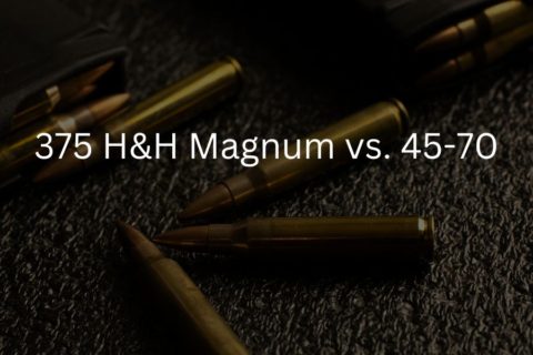 375 H&H Magnum vs. 45-70 | Caliber Comparison - Nifty Outdoorsman