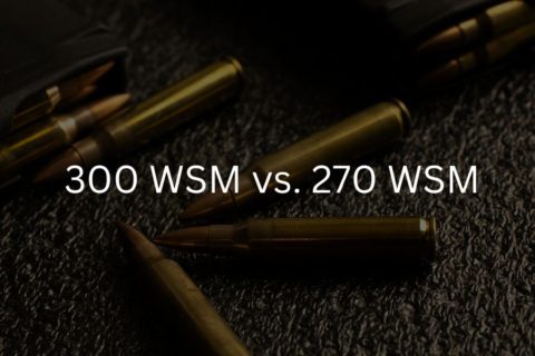 270 WSM vs. 300 WSM | Which is Better? - Nifty Outdoorsman