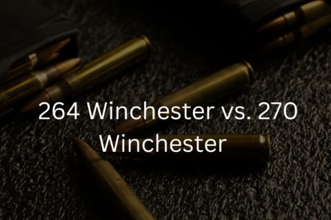 264 Winchester magnum vs. 270 Winchester | Caliber Comparison - Nifty Outdoorsman