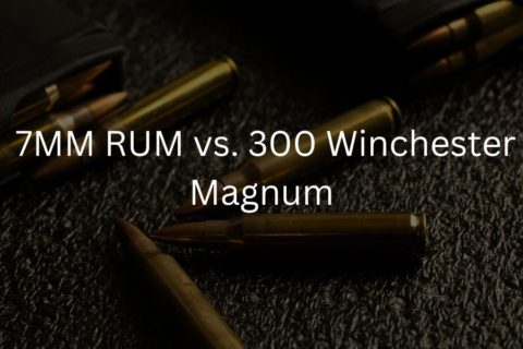 7MM RUM vs. 300 Winchester Magnum | Caliber Comparison - Nifty Outdoorsman