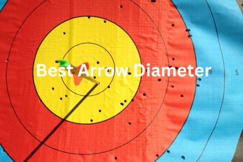 Best Arrow Diameter | For Hunting and Target shooting - Nifty Outdoorsman