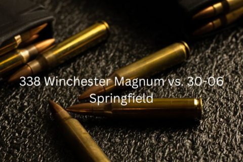 338 Winchester Magnum vs. 30-06 Springfield | Caliber Comparison ...