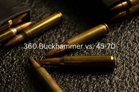360 Buckhammer vs. 45-70 | Caliber Comparison - Nifty Outdoorsman