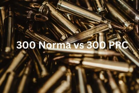 300 PRC vs. 300 Norma Magnum | Caliber Comparison - Nifty Outdoorsman